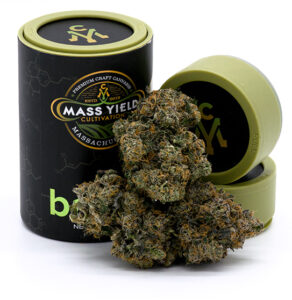 Cultivars • Mass Yield Cultivation